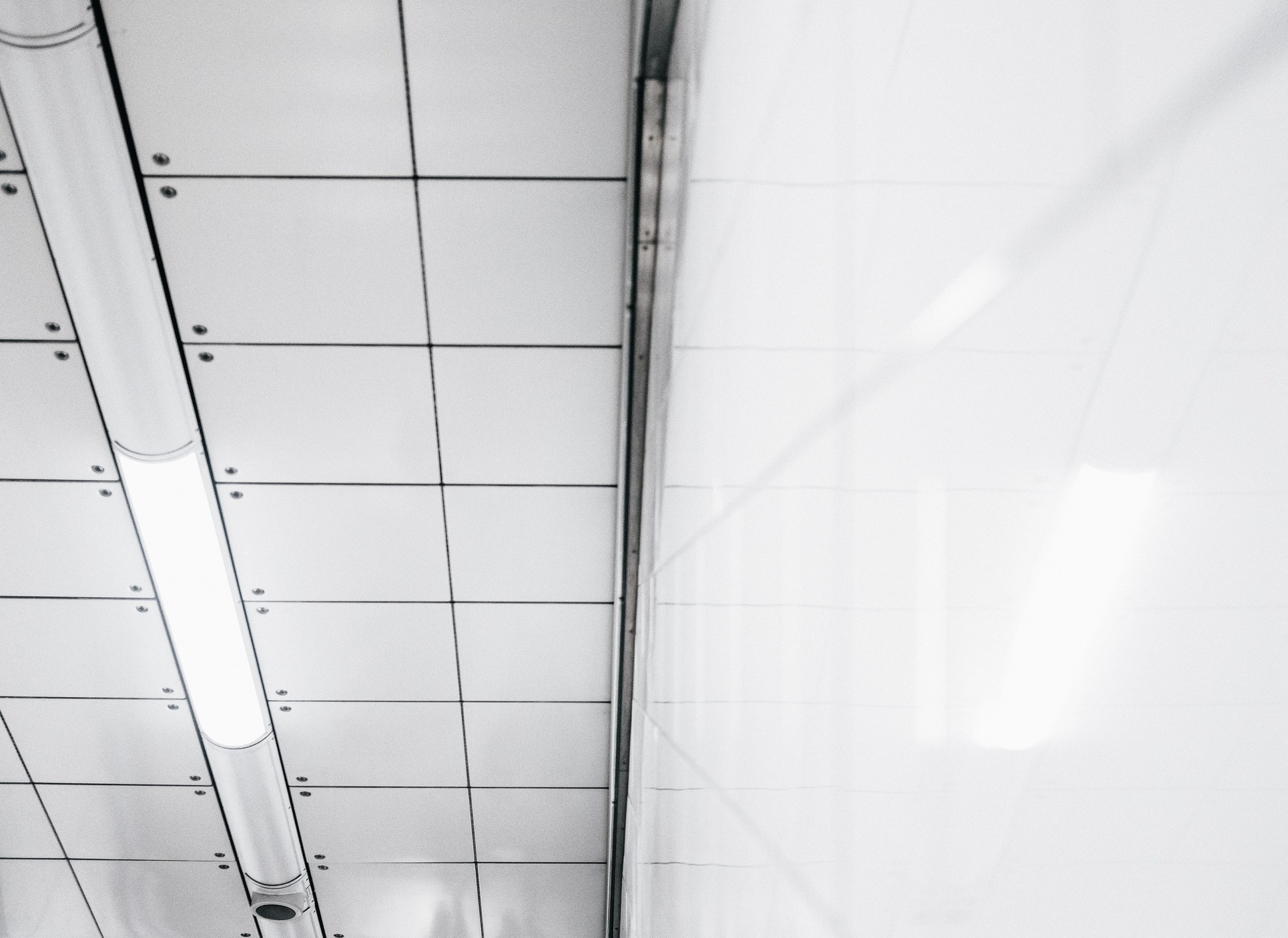 Suspended Ceilings & Safety: What to Know | SLP Interiors